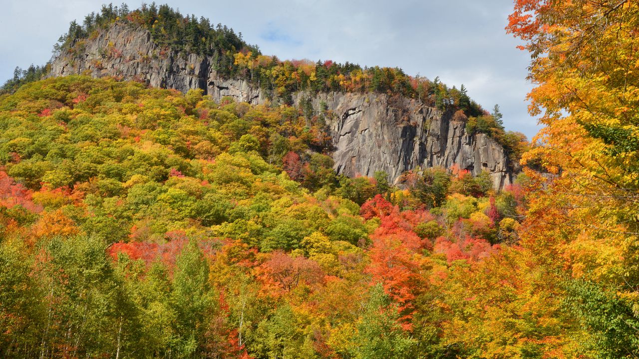 Conway Scenic Railroad: A First Time Visitor Guide