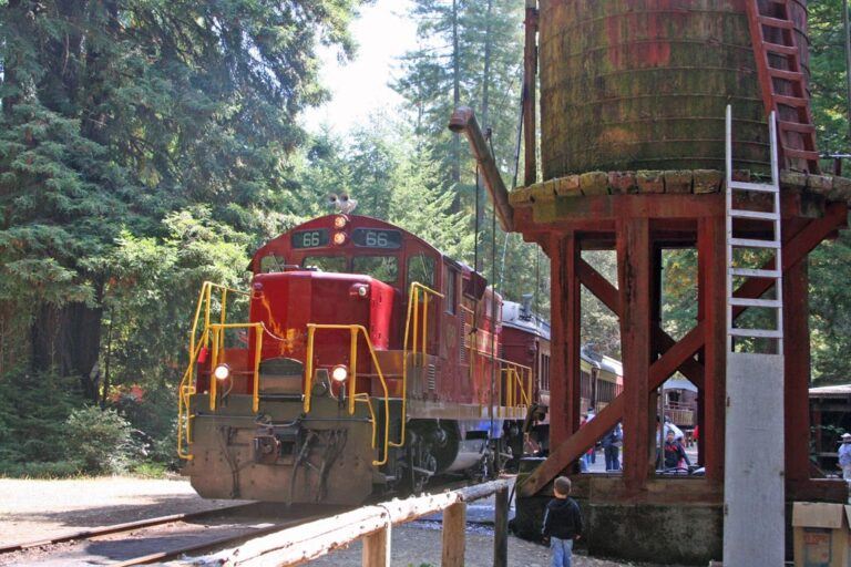 Skunk Train Ride: Visitor Info, Ticket Prices And More