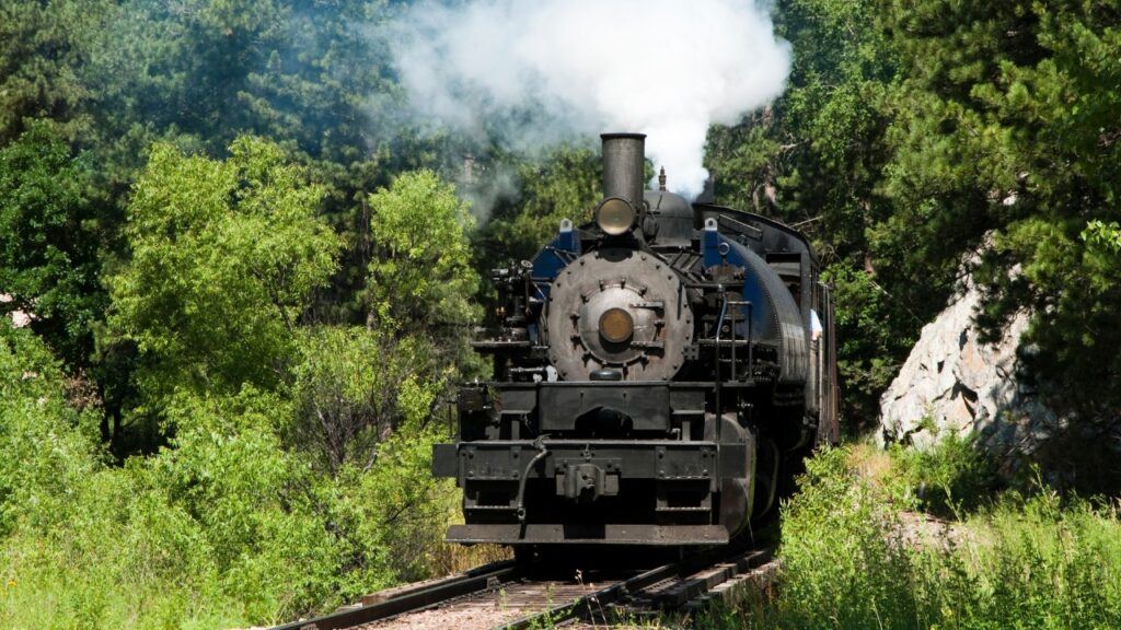 Mount Rainier Scenic Railroad: A Guide For Visitors