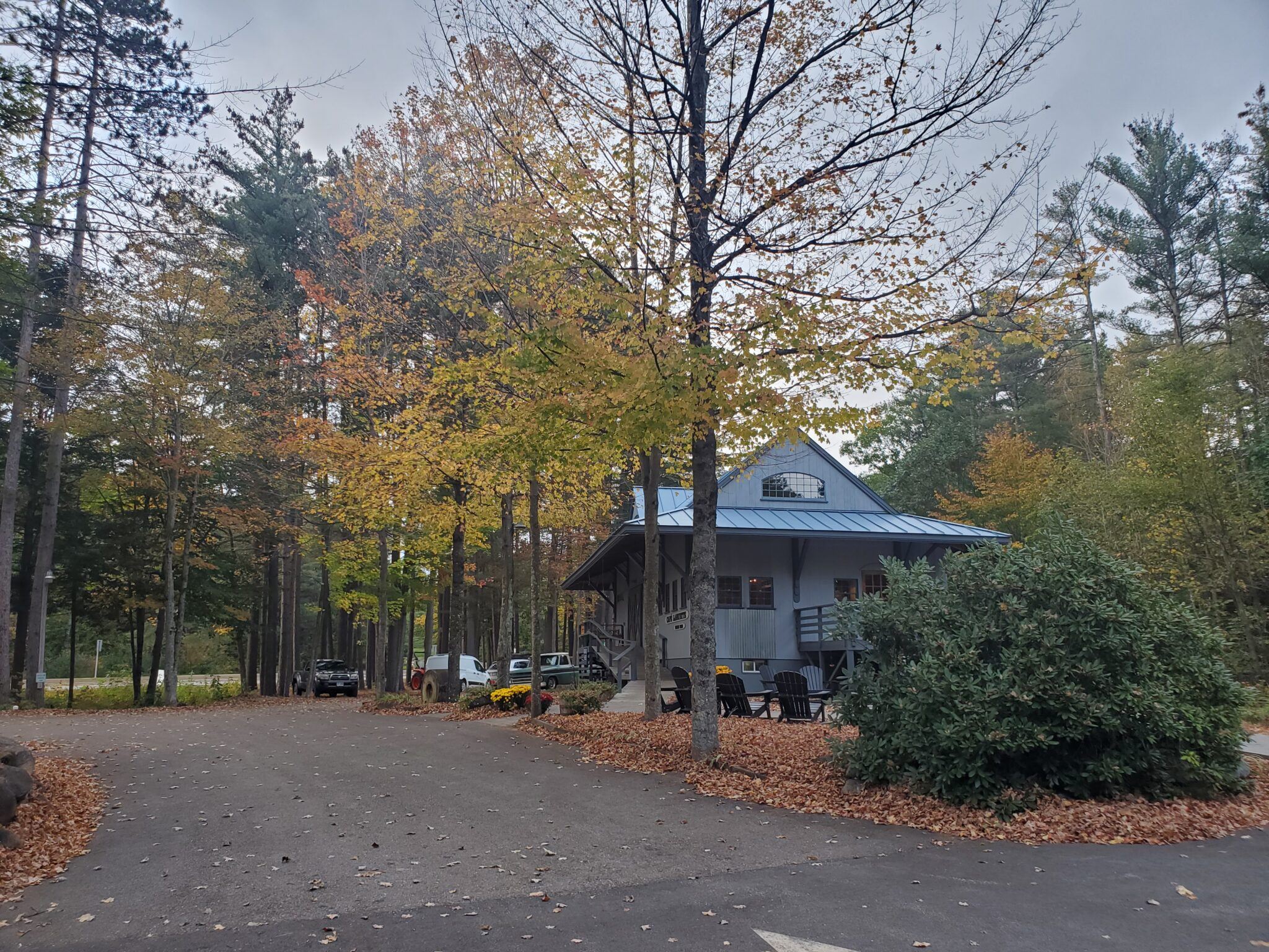 Cafe Lafayette Dinner Train Review: Is it Worth it?