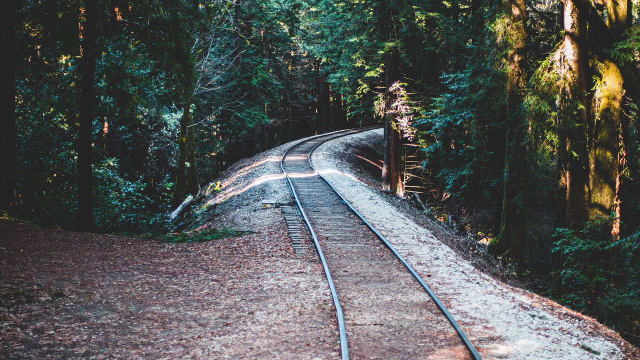 Skunk Train Ride: Visitor Info, Ticket Prices And More